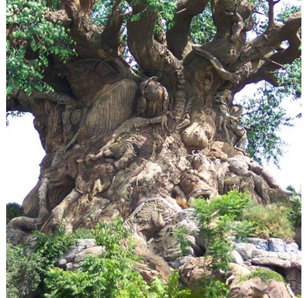 Did You Know? Interesting Spots To Check Out In Nigeria ...