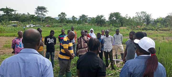 CSIR Demonstrates To Rice Growers In E/R The AWD Irrigation Technology ...