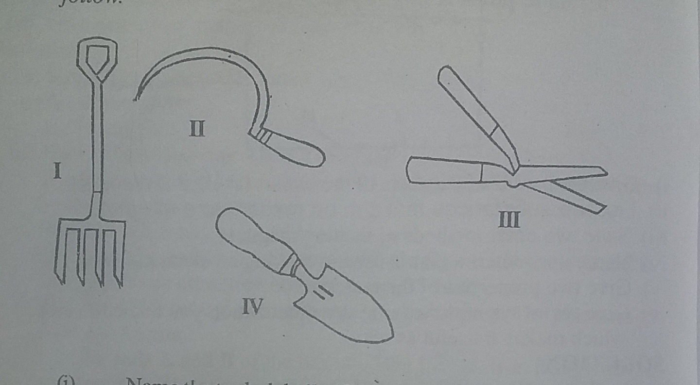 2022 BECE Integrated Science Top Questions for September Revisions