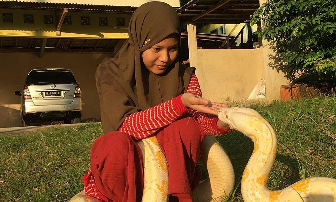 Meet The 14 Year Old Indonesia Girl Who Has 6 Huge Pythons As Pet ...