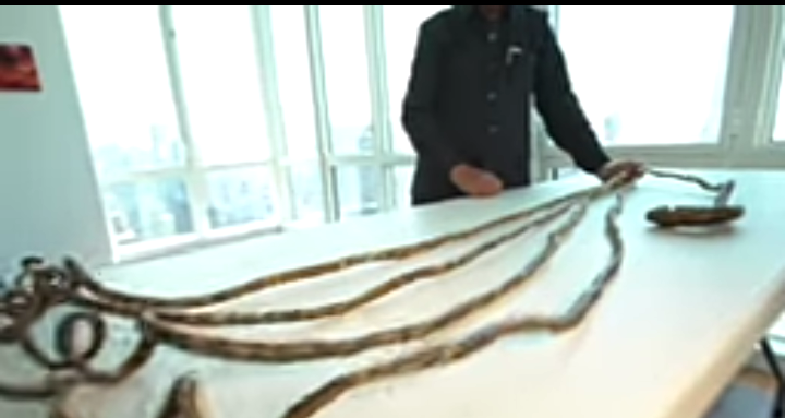 Guinness Book: Pictures of 10 Incredible world Largest Body Parts that ...