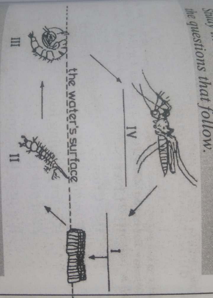 Likely BECE Science Practicals And Answers. – Answers Blog