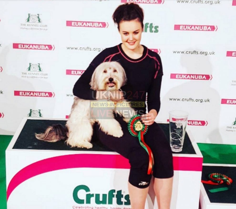 Is Pudsey The Dog Dead