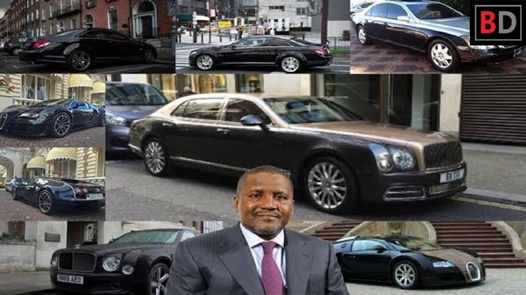 Aliko Dangote Properties