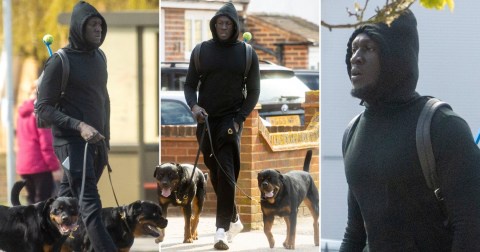 UK rapper, Stormzy emerges from quarantine to walk dogs in London ...