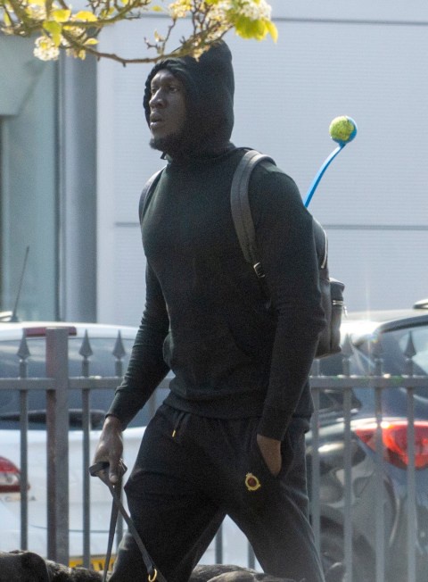 UK rapper, Stormzy emerges from quarantine to walk dogs in London ...