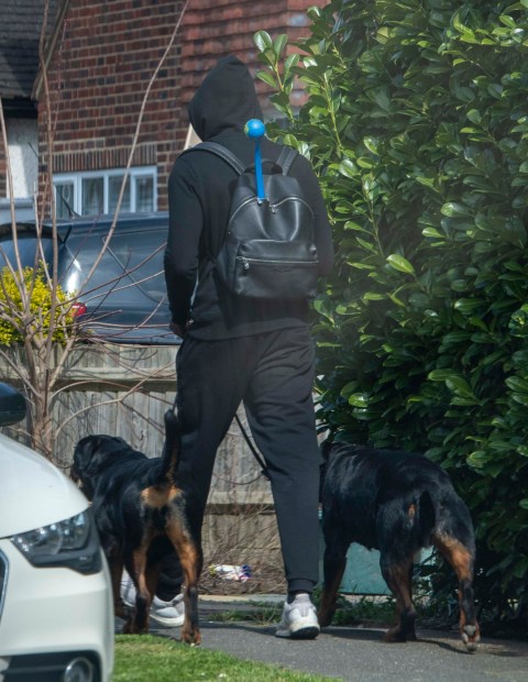 UK rapper, Stormzy emerges from quarantine to walk dogs in London ...
